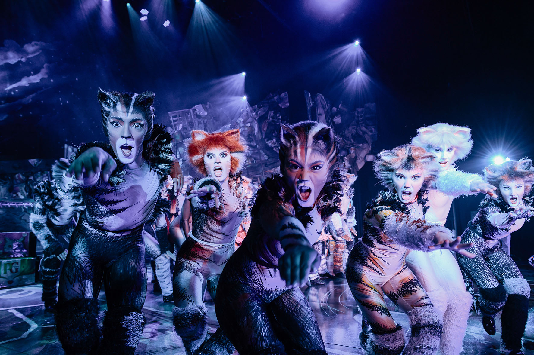 Reportage del musical "Cats" di Andrew Lloyd Webber