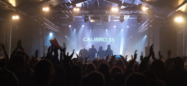 Reportage del concerto dei Calibro 35
